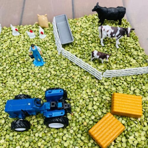 Easy Farm Sensory Bin for Preschool (SO cute!)