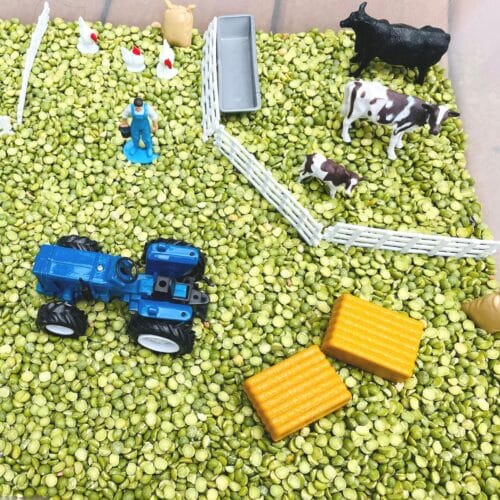 Easy Farm Sensory Bin for Preschool (SO cute!)