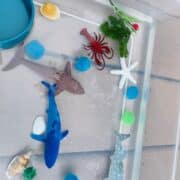 Ocean Sensory Bin (Easy Water Sensory Play Idea)